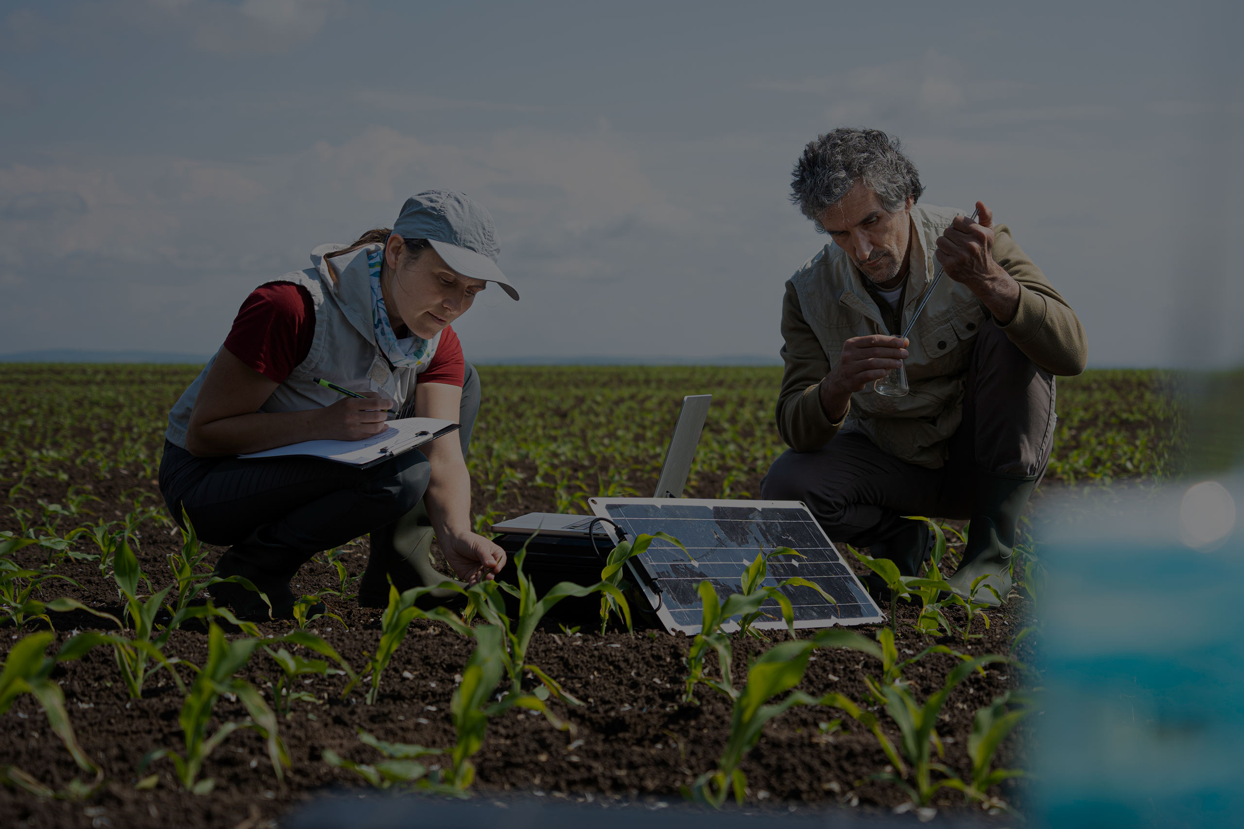 FiberX Awarded Research Grant to Study Sustainable Corn Stover ...